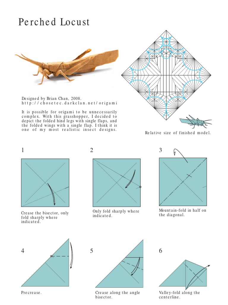 Step-by-Step Perched Locust Origami | PDF | Teaching Mathematics | Nature