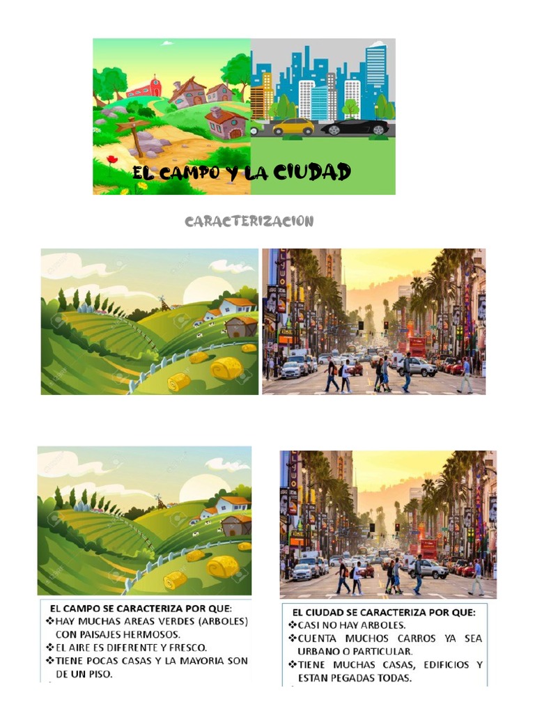 Campo y Ciudad 2do Grado | PDF