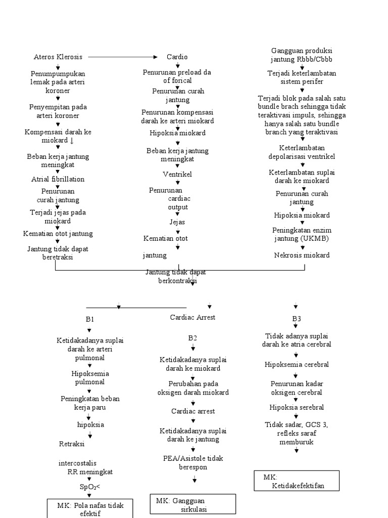 Woc Cardiac Arrest | PDF