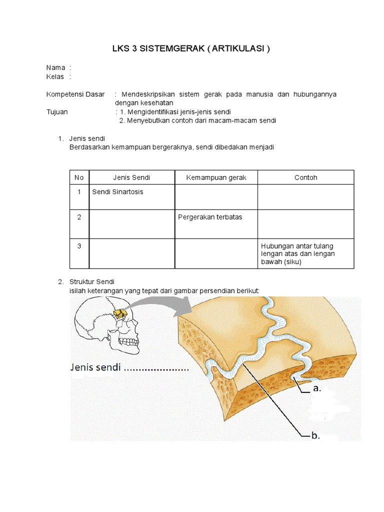 LKS 3 Sistemgerak (Artikulasi) | PDF