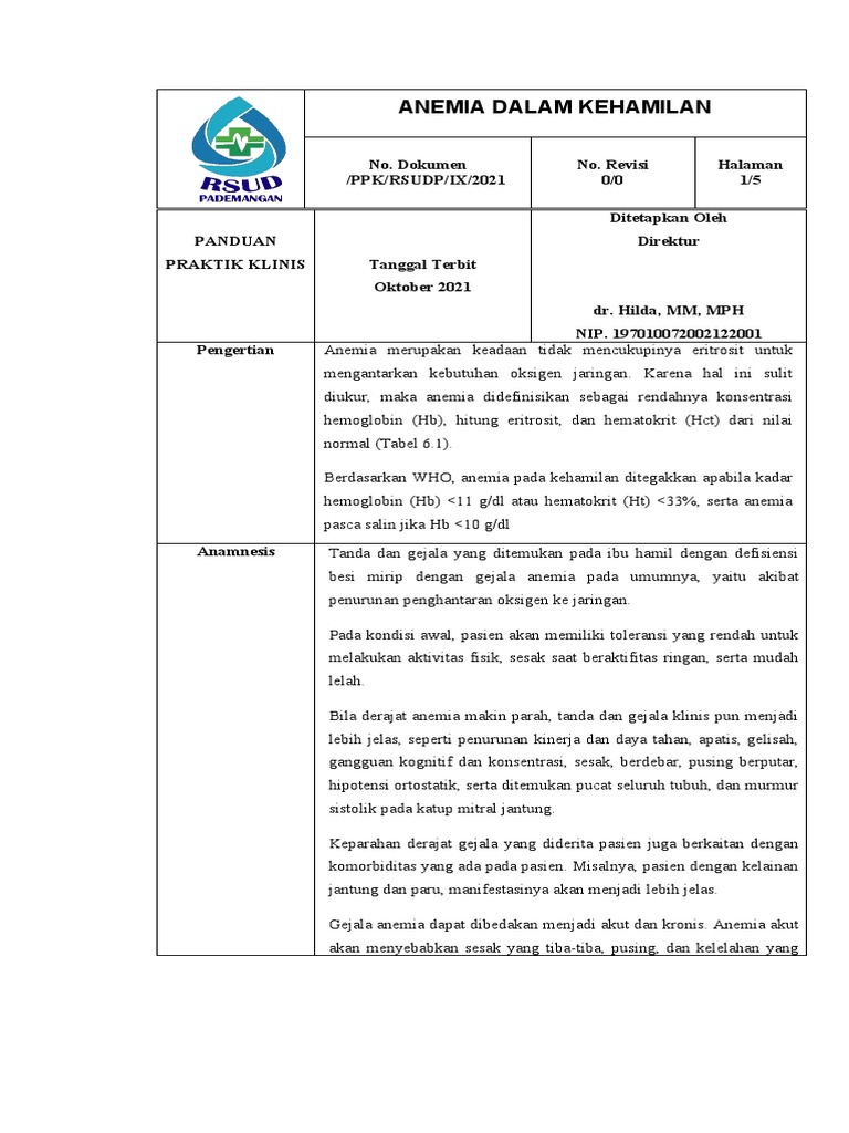 PPK Anemia Dalam Kehamilan | PDF