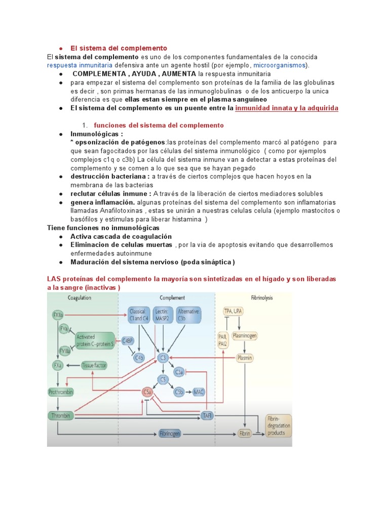 El Sistema Del Complemento | PDF | Sistema complementario | Sistema inmune