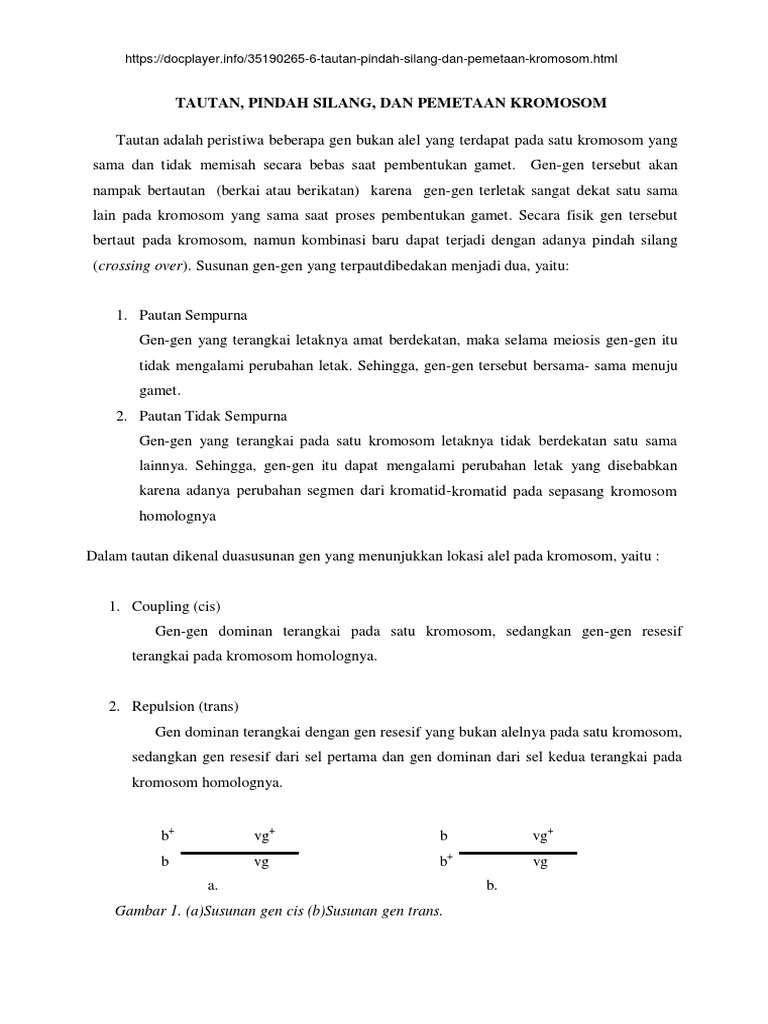 Tautan PindahSilang Dan PemetaanKromosom | PDF