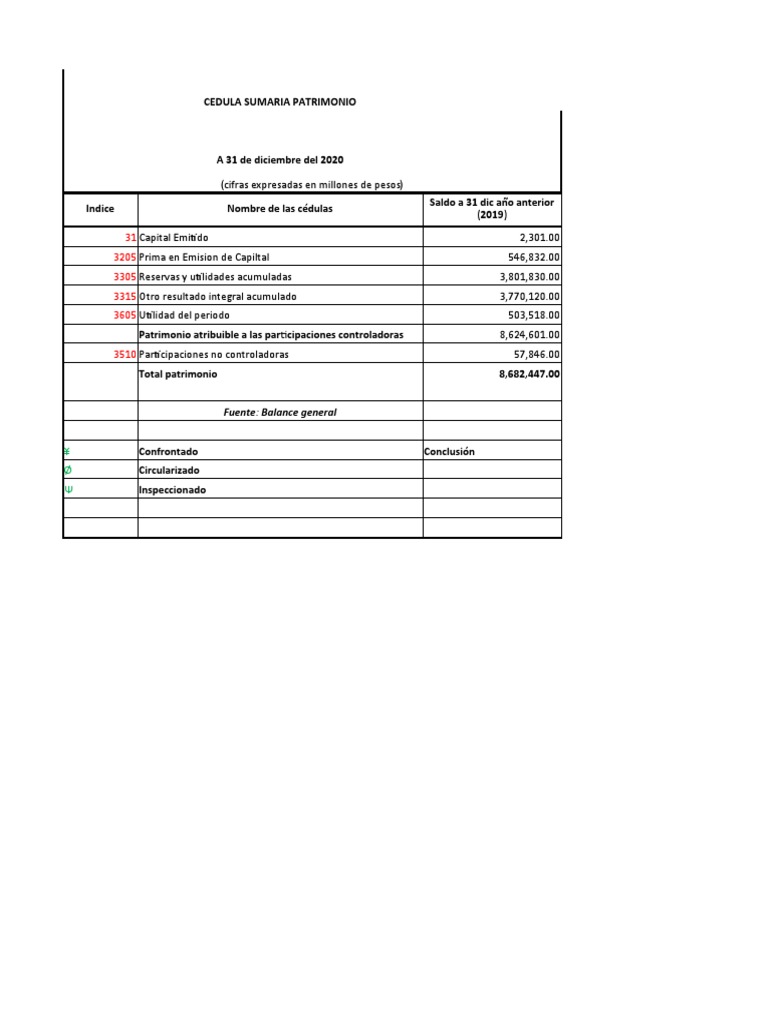 Cédula Sumaria Patrimonio 2020 | PDF | Auditoría | Economias