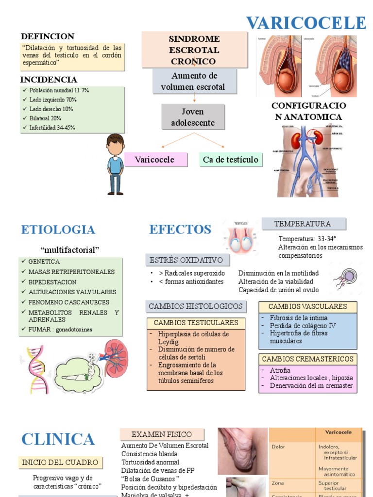 VARICOCELE | PDF | Testículo | Especialidades Medicas