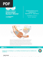 Signo de Murphy | PDF | Vesícula biliar | Gastroenterología