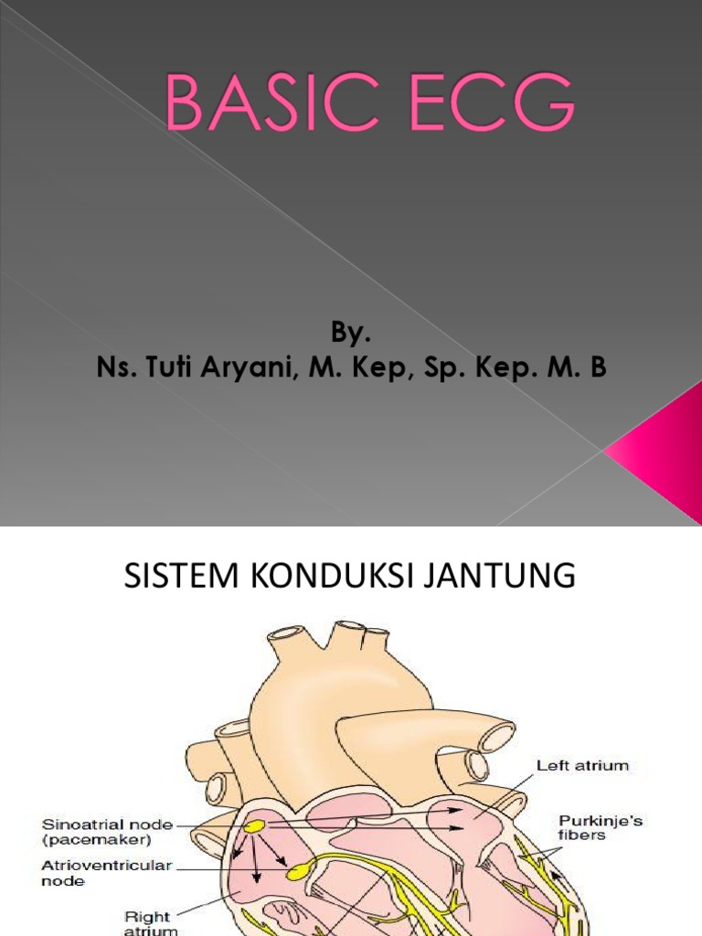 Basic ECG | PDF