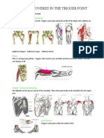 Myofascial Trigger Points Overview | PDF | Myofascial Trigger Point ...