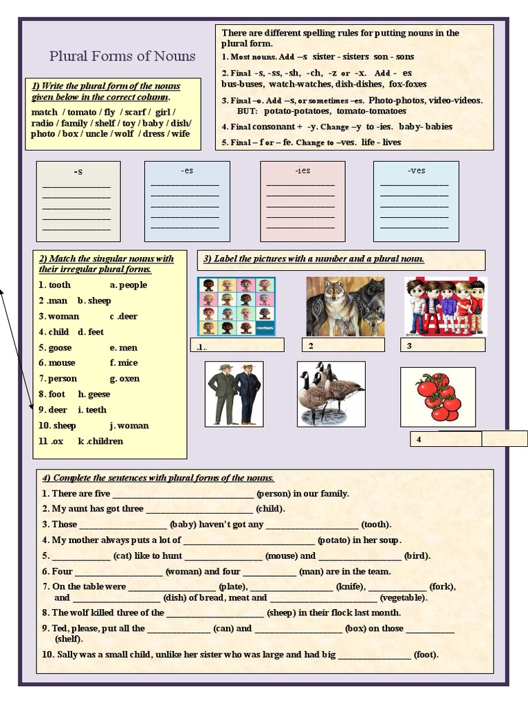 Plural Noun Formation Guide | PDF | Plural | Grammar