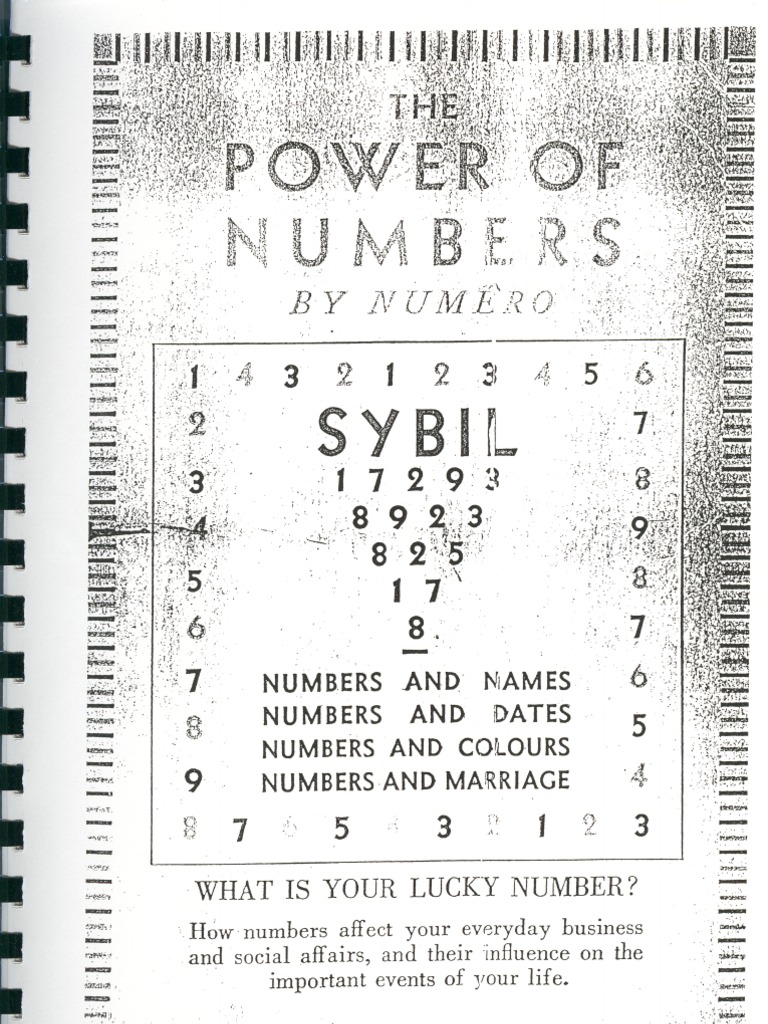 Numero's Power of Numbers | PDF