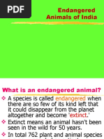 Mutupo - Shona | PDF | Zoology
