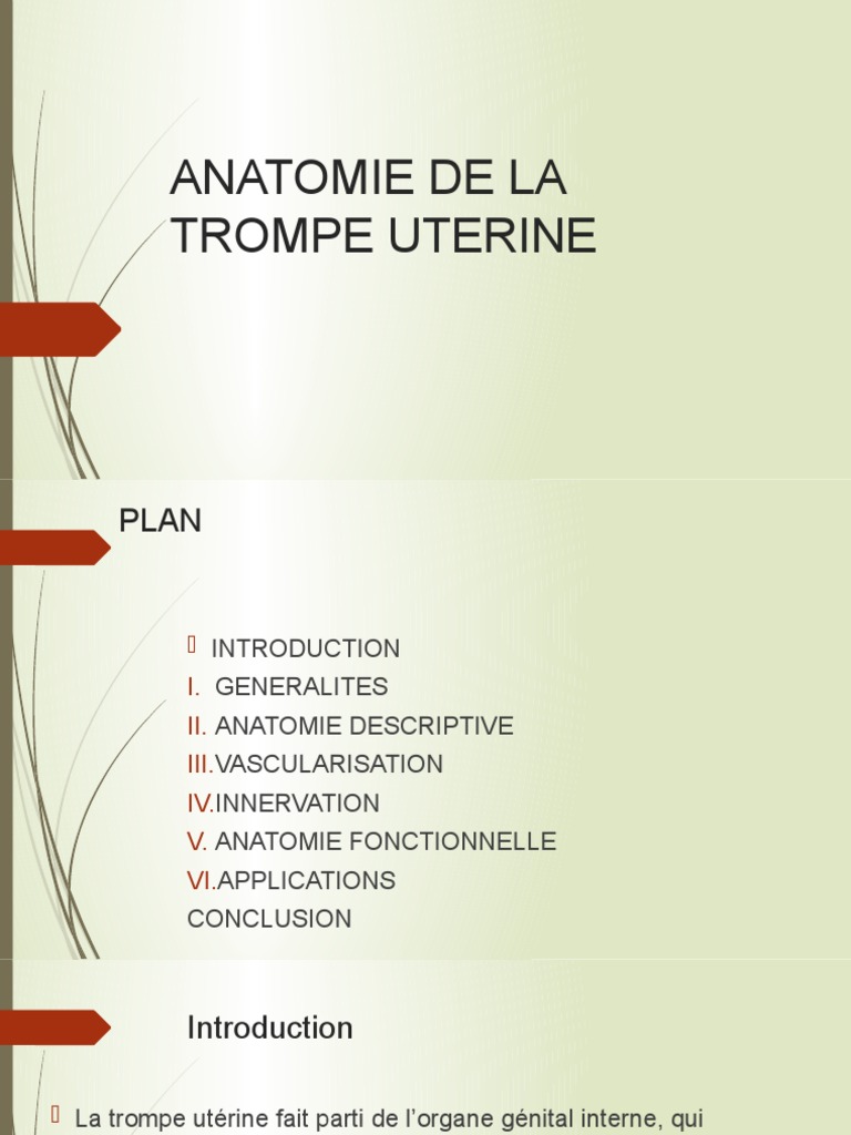 Anatomie de La Trompe | PDF | Utérus | Système reproducteur