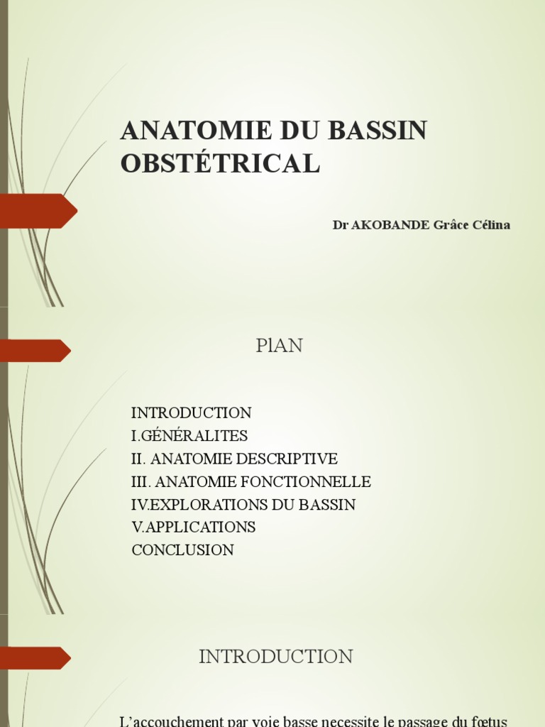 Bassin Obstetrical | PDF | Bassin (anatomie) | Appareil locomoteur