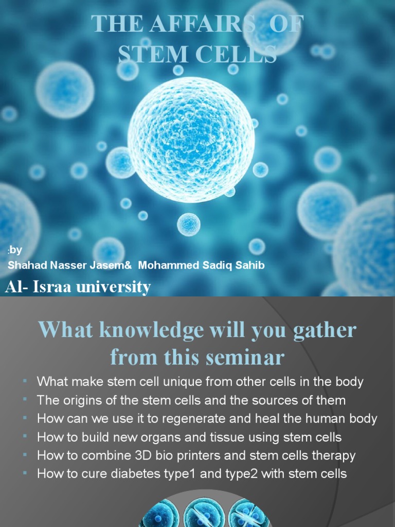 Introduction To The Concept of Stem Cells | PDF | Stem Cell | Pancreas