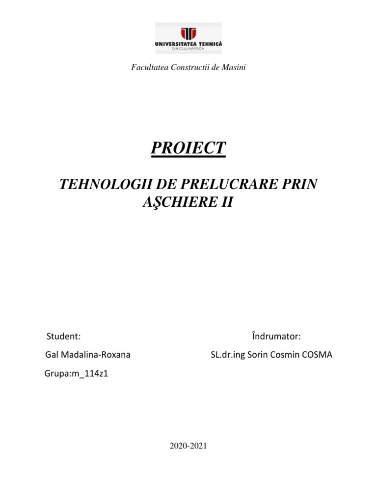 Proiect TPA 2 | PDF