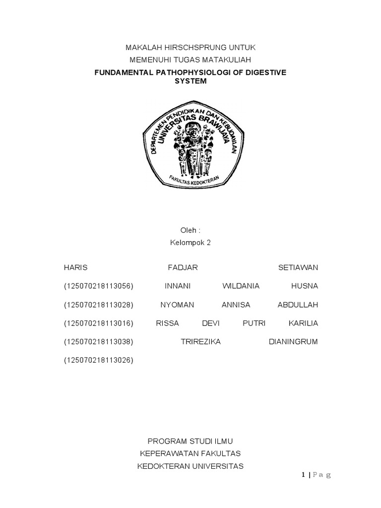 Docshare - Tips - Kel 2 Hirschsprung | PDF | Kesehatan Holistik