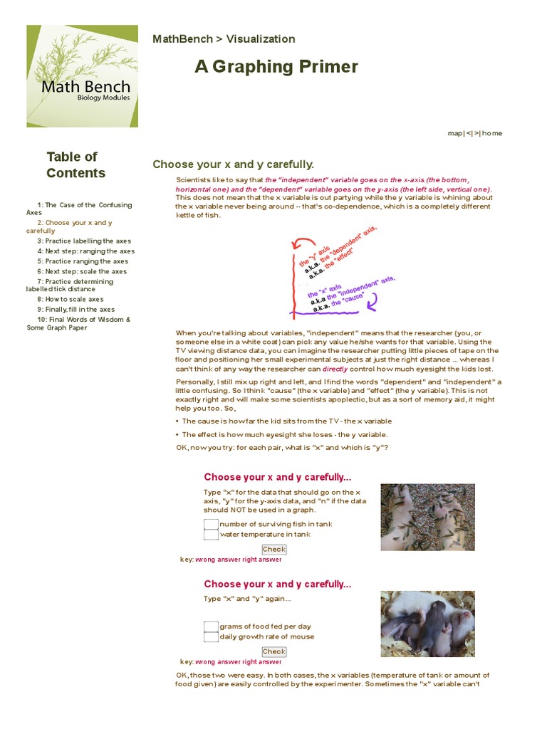 A Graphing Primer: Table of | Download Free PDF | Cartesian Coordinate ...