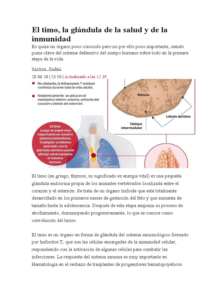 Glandula Timo | PDF | Sistema inmune | Timo
