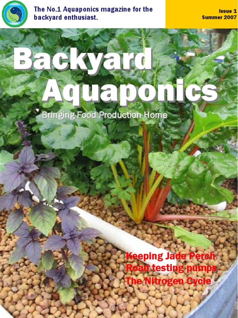 BYAP Magazine Issue1 | PDF | Aquaponics | Hydroponics