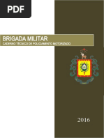 "É Faca Na Caveira" A Identidade Simbólica de Tropas de Operações ...