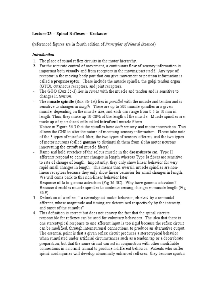 Spinal Reflexes: An In-Depth Look at the Flexibility and Adaptability ...