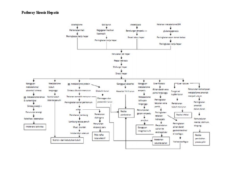 Pathway Sirosis Hepatis Pathway Patofisiologi