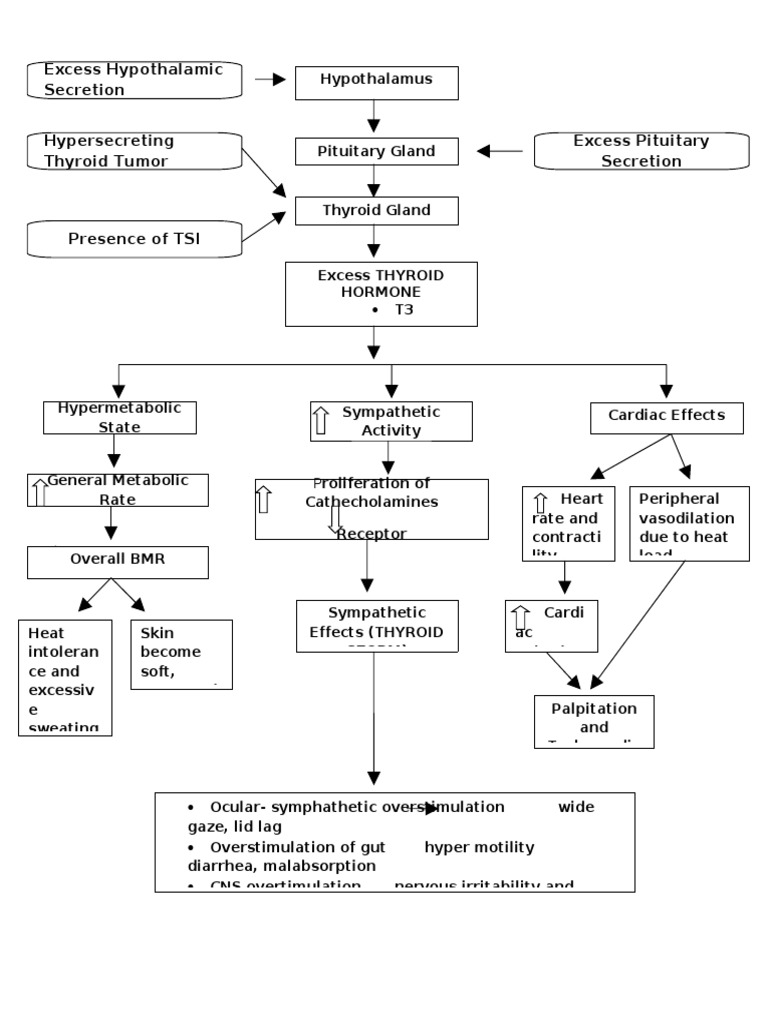 Pathophysiology of Hyperthyroidism | PDF