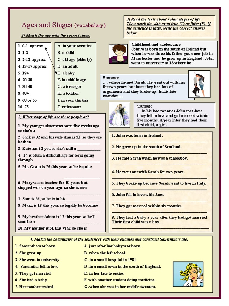 Stages of Life Vocabulary 1 | PDF | Childhood | Human Development