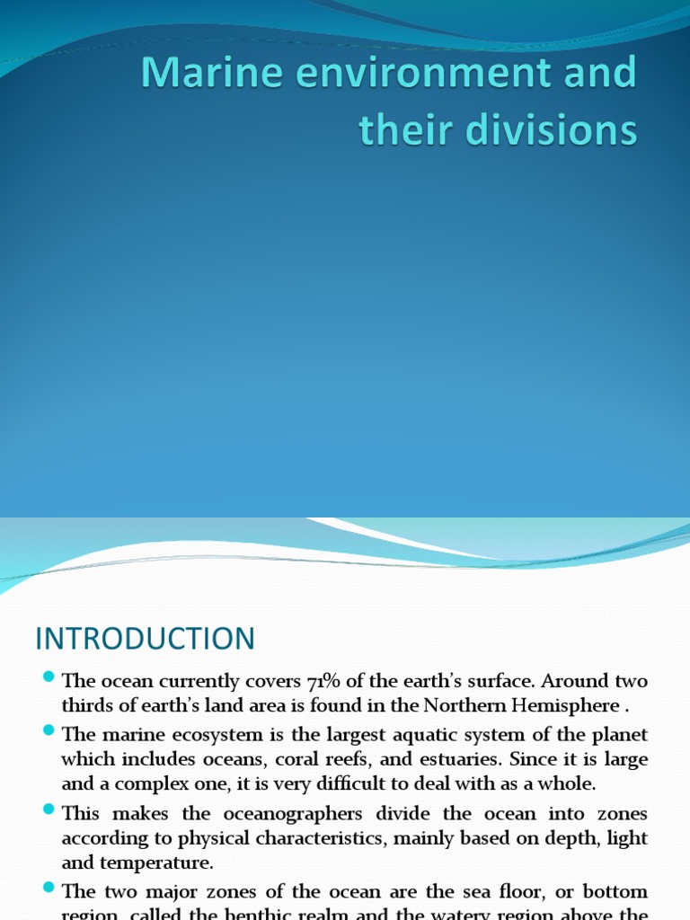 Marine Ecosystem Zone Classification | PDF | Oceans | Benthic Zone