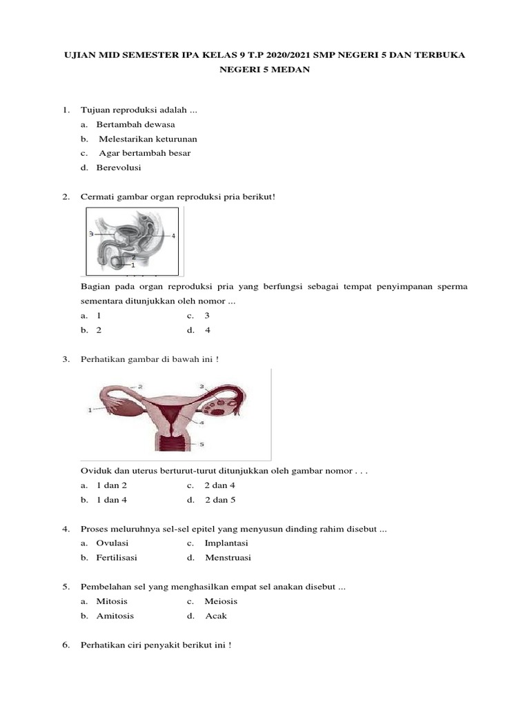 Ujian Mid Semester Ipa Kelas 9 | PDF