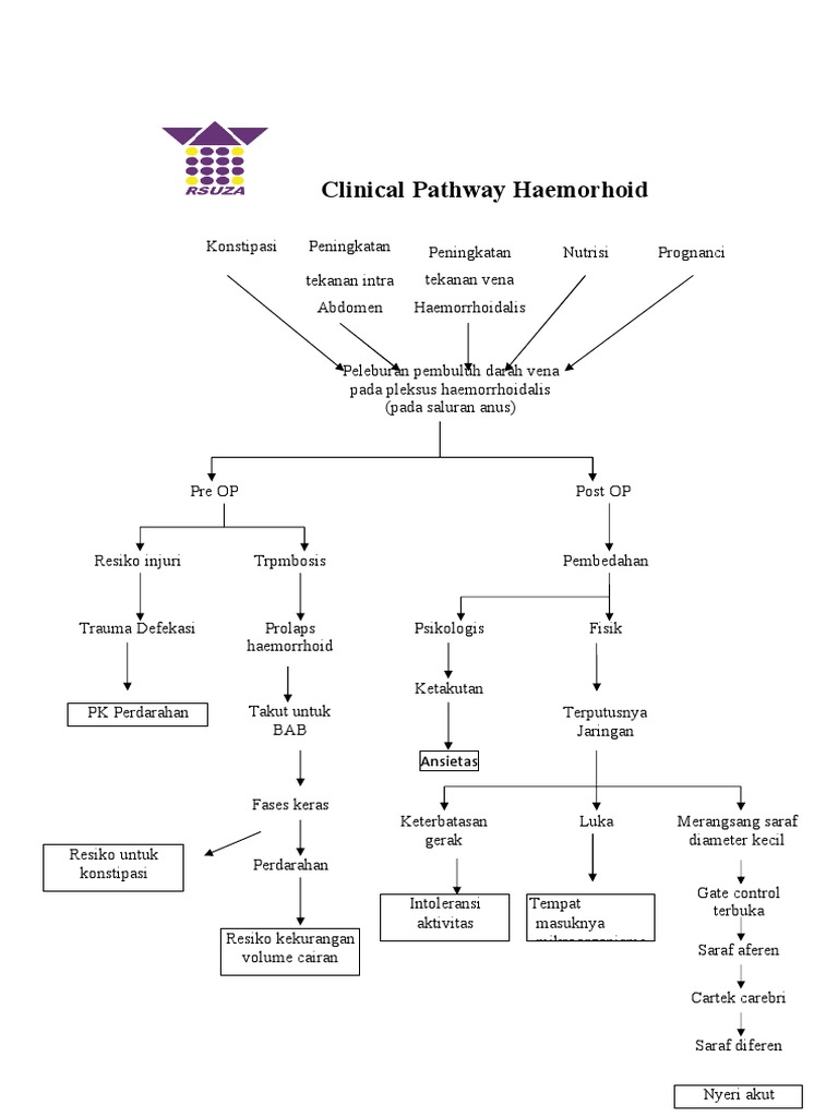 Pathway Hemoroid | PDF