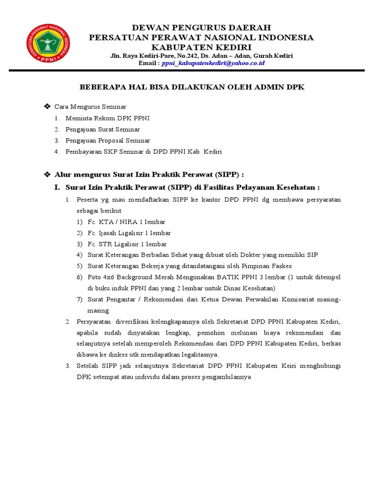 Alur SIPP PPNI | PDF