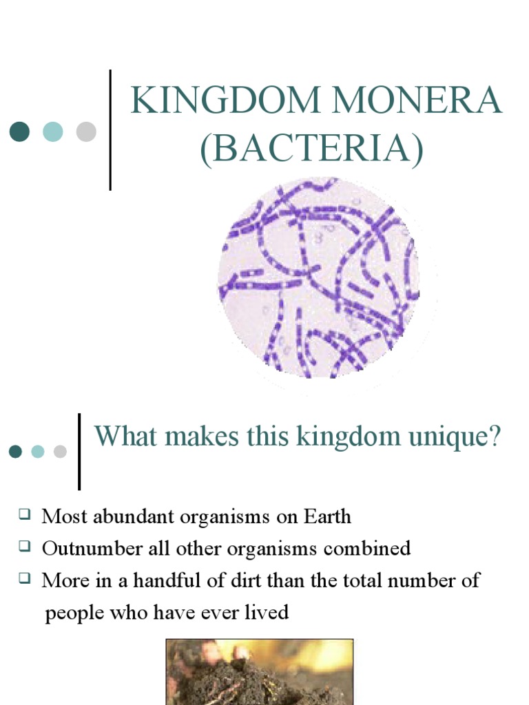 Unique Traits of Kingdom Monera | PDF | Bacteria | Archaea