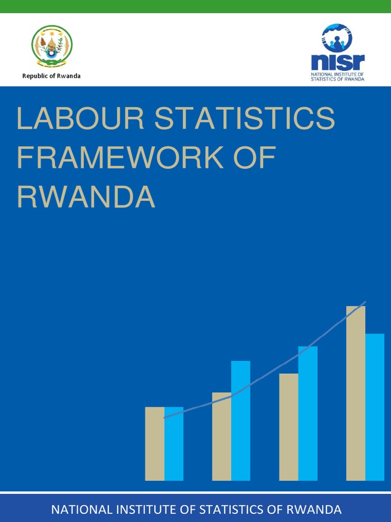 Labour Statistics Framework Rwanda | PDF | Labour Economics | Employment
