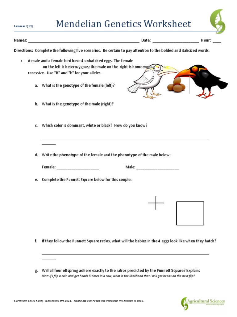 Mendelian Genetics Worksheet | PDF | Dominance (Genetics) | Genotype
