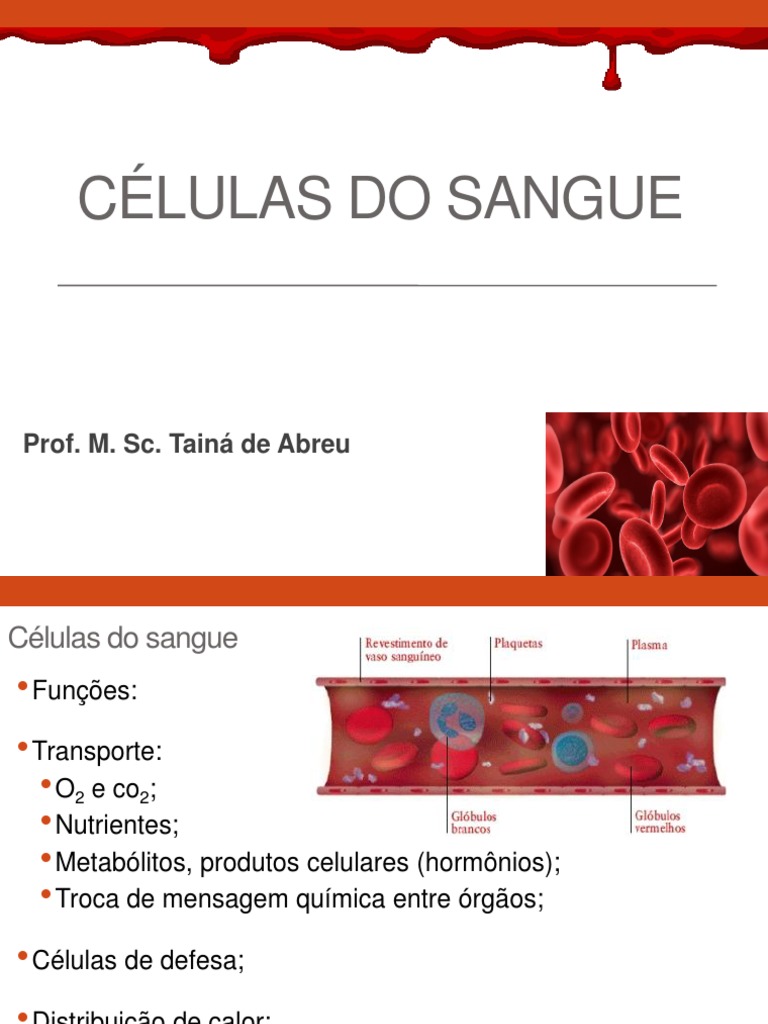 Celulas Do Sangue | PDF | Sangue | Plaquetas sanguíneas