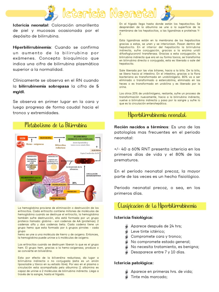 Ictericia Neonatal | PDF | Especialidades Medicas | Enfermedades y trastornos