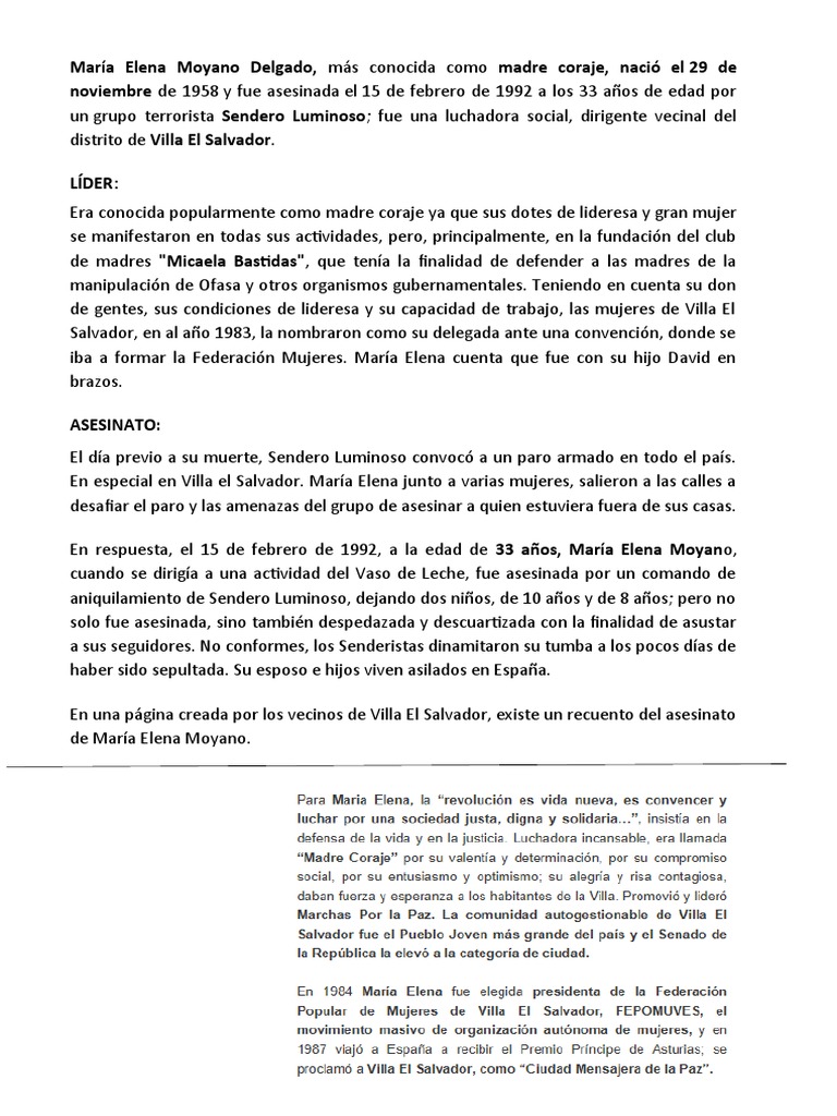 María Elena Moyano | PDF