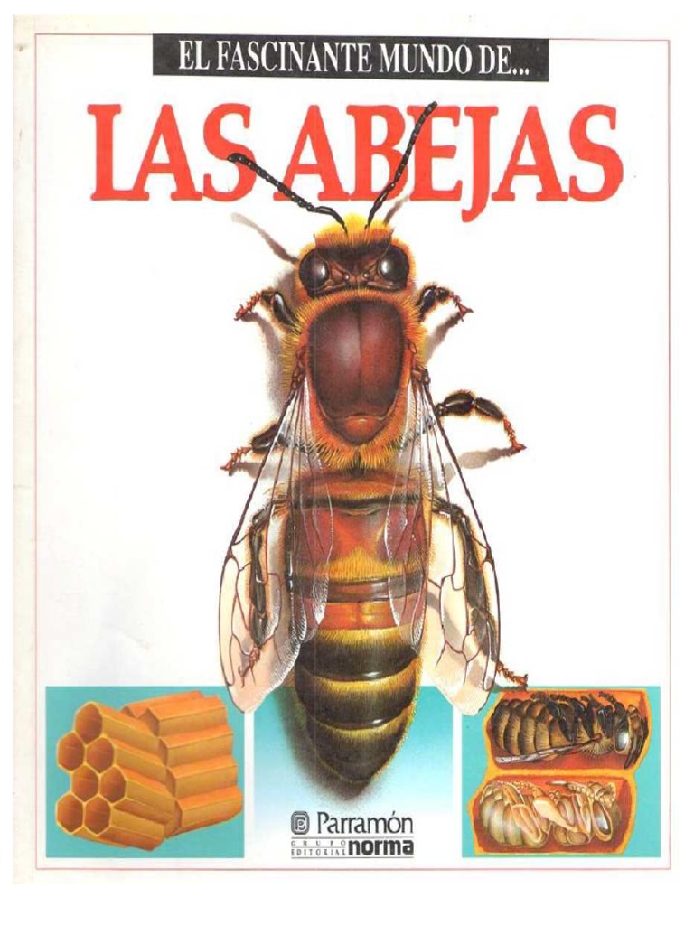 El Fascinante Mundo de Las Abejas | PDF