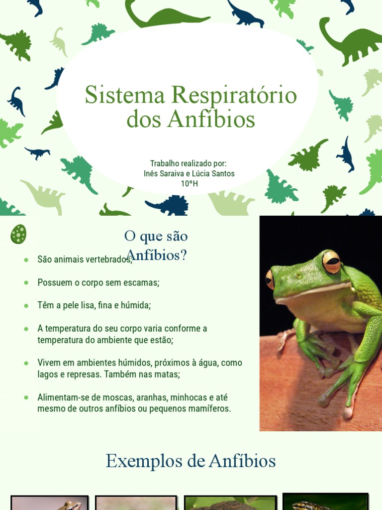 Respiração Dos Anfíbios | PDF | Respiração | Anfíbio