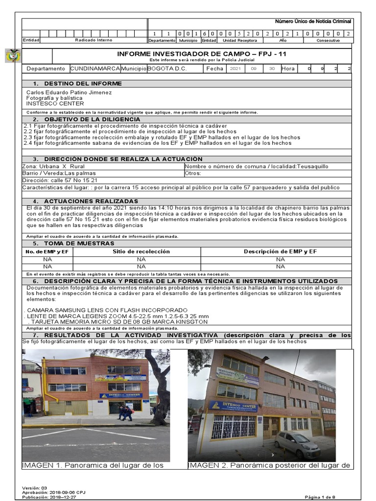 FPJ 11 Informe Investigador de Campo | PDF