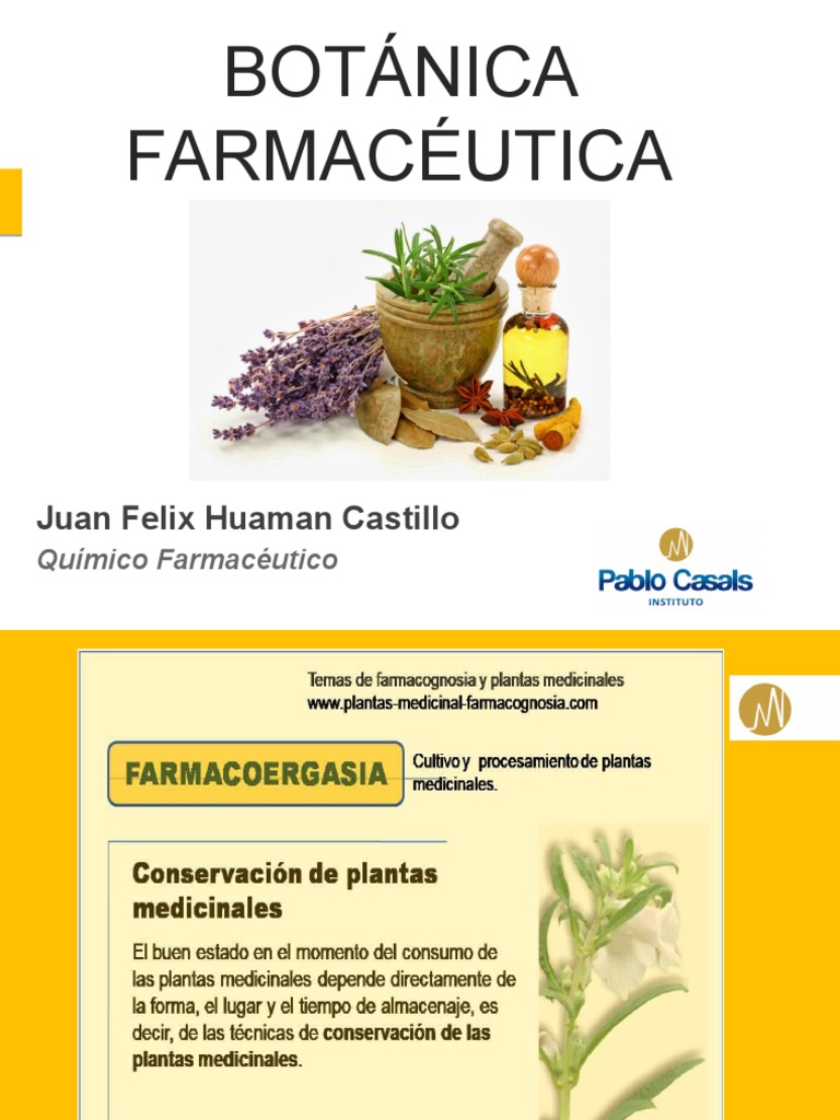 Fundamentos de La Farmacoergasia (Presentación) | PDF | Plantas ...