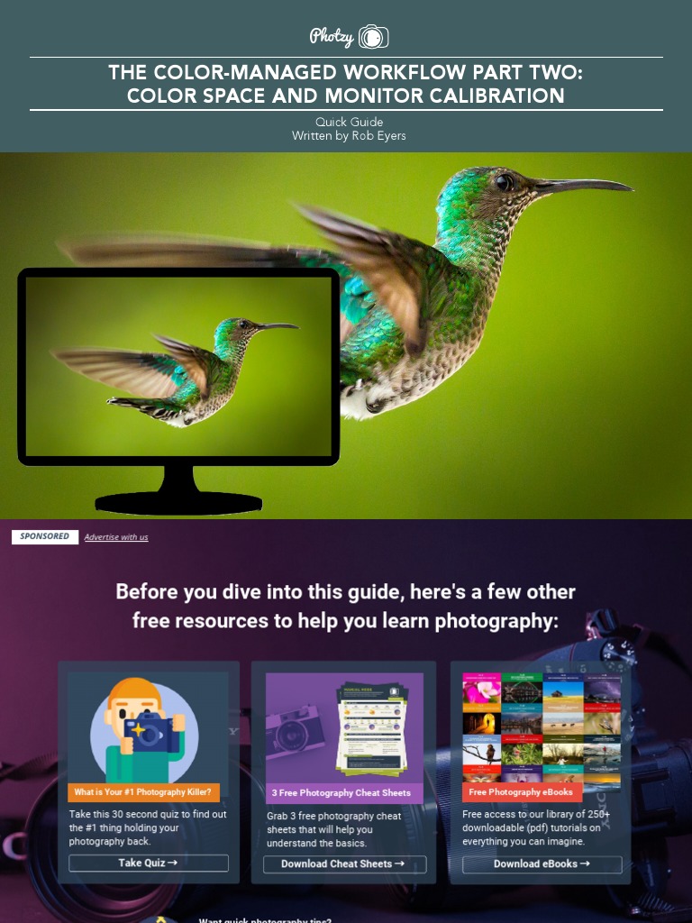 The Colour Managed Workflow Part2 Monitor Pdf Rgb Color Model