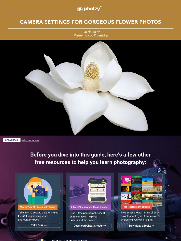 Camera Settings For Gorgeous Flower Photos: Photzy | PDF | Camera Lens ...