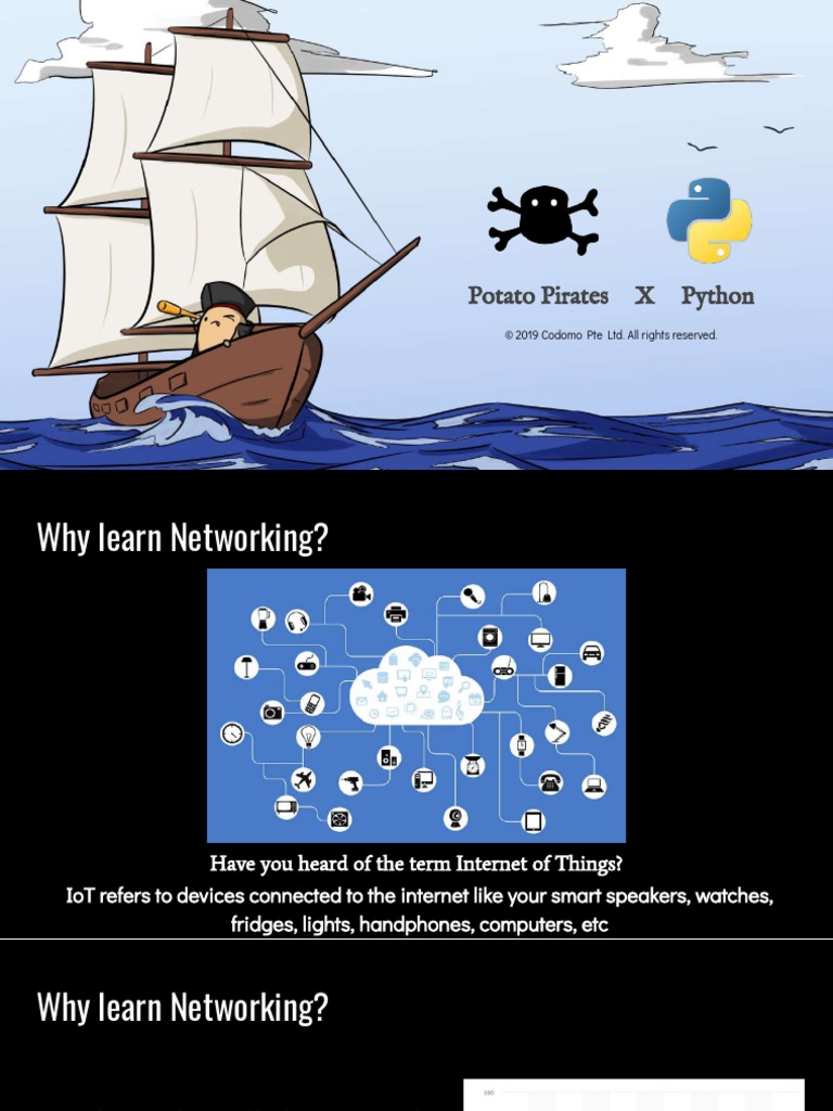 Pp Python Networking1 English Pdf Network Socket Port 9208