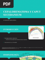 Brandt Andrews | PDF | Partería | Parto