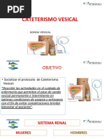CISTOCLISIS | PDF | Especialidades Medicas | Riego