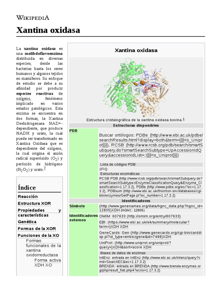 Xantina Oxidasa | Descargar gratis PDF | Química | Bioquímica