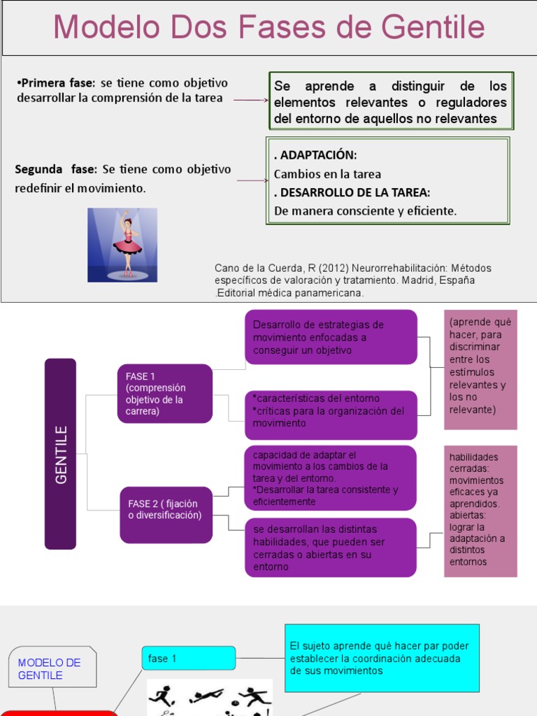 Modelo de Gentile: Aprendizaje Motor en Dos Fases | PDF | Aprendizaje ...