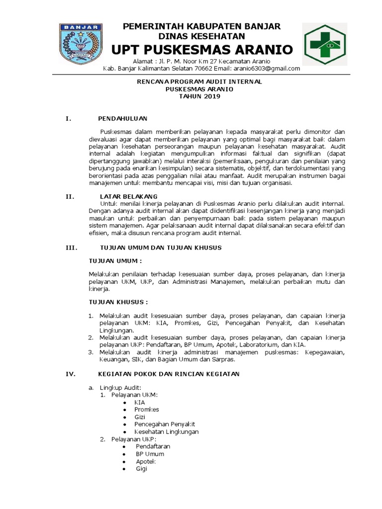 Audit Plan 2019 (Drg. Firda) | PDF | Pengelolaan Keuangan & Uang